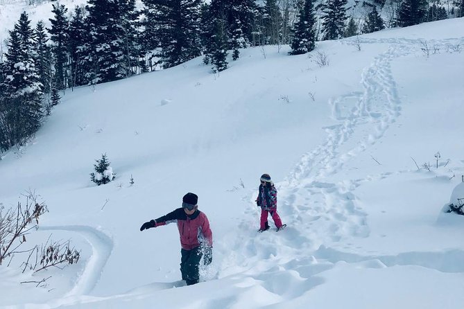 Private Park City Snowshoe Excursions (9:30am/12:30pm start time) - Why This Tour Offers Great Value