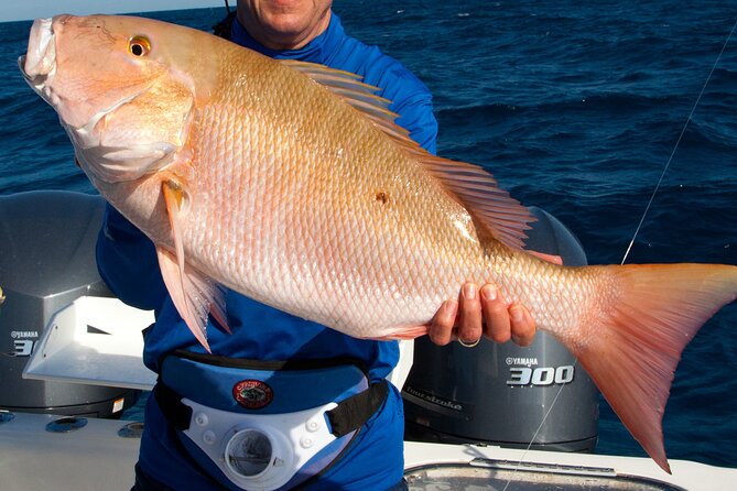Private Patch Reef Fishing - Who Will Love This Trip