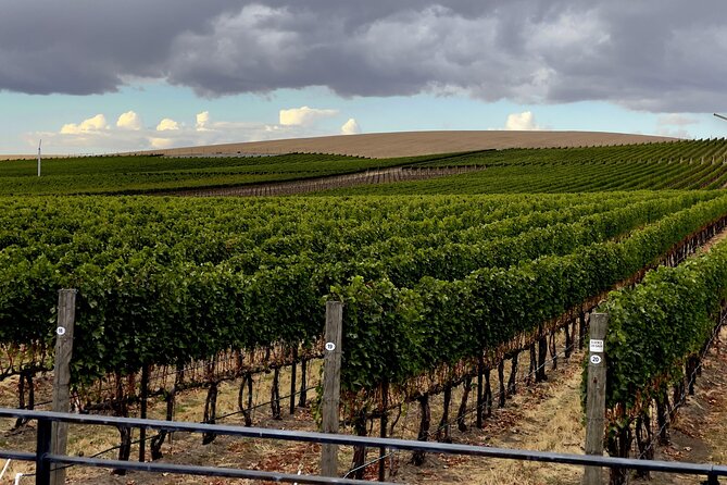 Private Personal Winery Tours in Walla Walla - FAQ: Practical Questions About the Tour