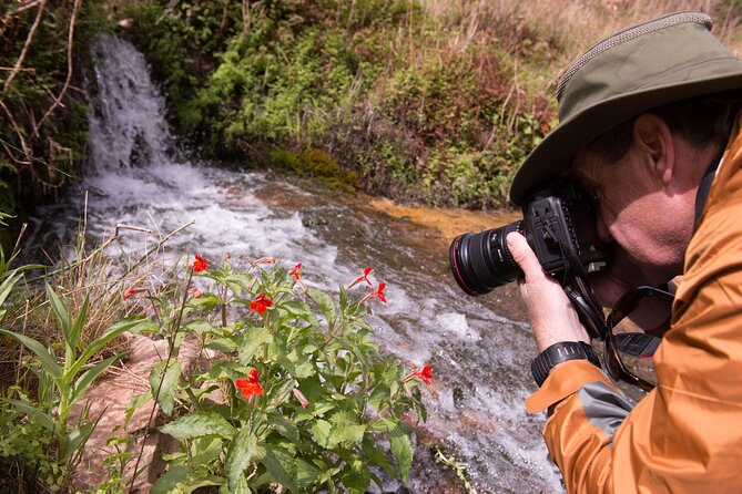 Private Photo Workshop and Sightseeing in Wasatch Mountains - An Inside Look at the Tour Experience