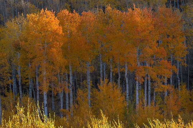 Private Photo Workshop and Sightseeing in Wasatch Mountains - FAQ