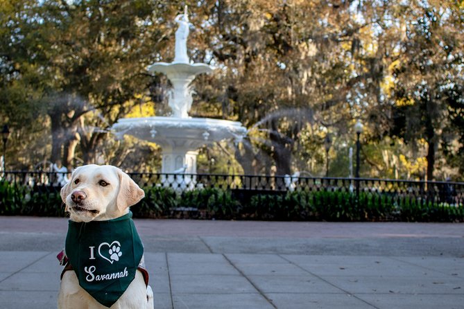 Private Photoshoot in Savannah, GA - Practical Details and Tips