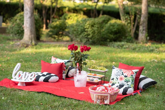 Private Picnic Experience in the Queen City - Private Picnic Experience in the Queen City: A Relaxed and Intimate Way to Enjoy Charlotte