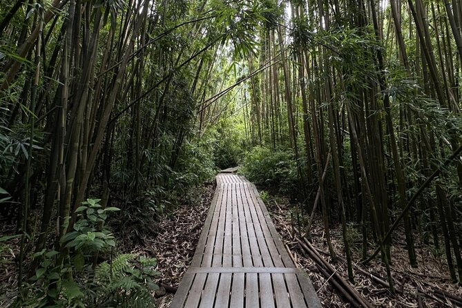 Private Pipiwai Trail Maui Open-Air Jeep Tour - FAQ