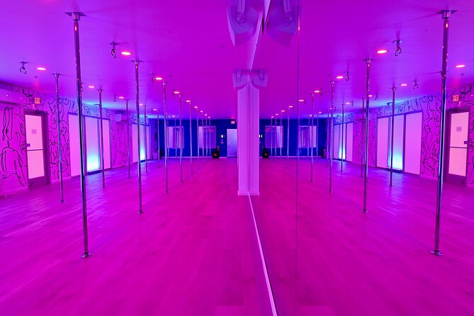 Private Pole Dance Party for Up to 20 People at soFly Social ATX - Introduction