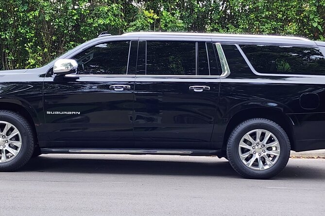 Private Port Canaveral Transfer to and from Orlando Intl Airport - The Experience in Detail