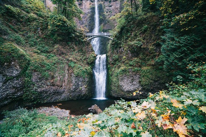 Private Portland City/Gorge Waterfalls Tour - Final Thoughts
