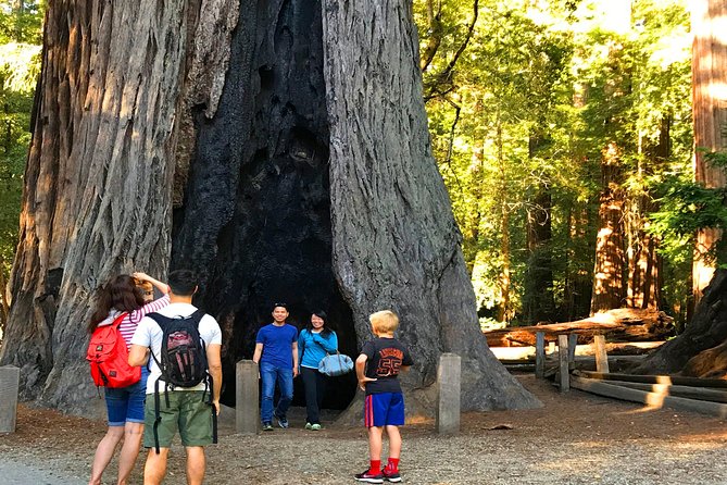 Private Redwoods Tour & Beach Horseback Riding Experience from San Francisco - An In-Depth Look at the Itinerary