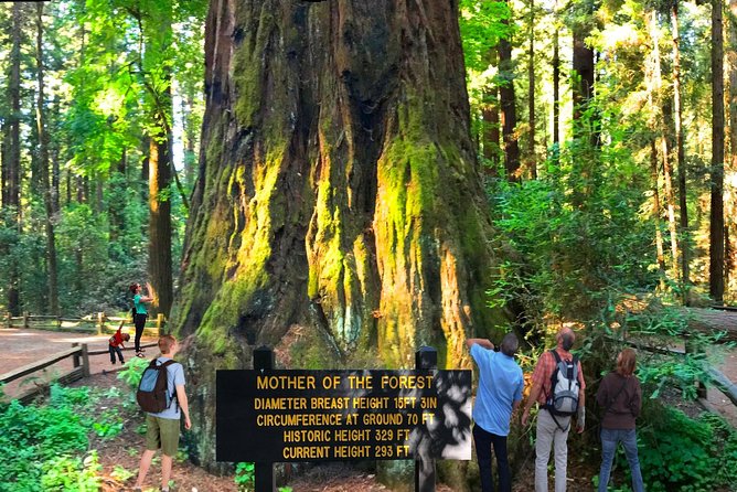 Private Redwoods Tour & Beach Horseback Riding Experience from San Francisco - The Value of This Tour