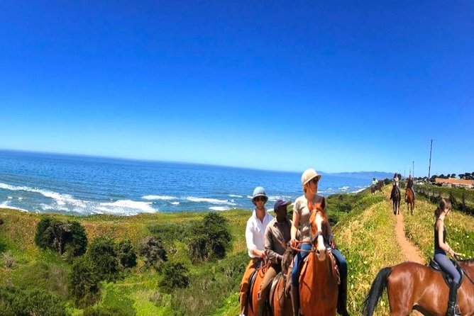 Private Redwoods Tour & Beach Horseback Riding Experience from San Francisco - FAQ