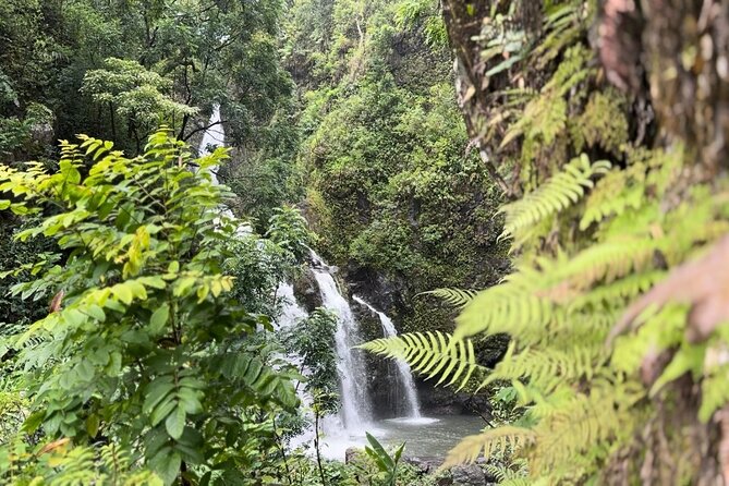 Private Road to Hana Maui Open-Air Jeep Tour - Perfect For...