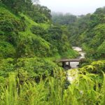 Private Road to Hana or any Maui destination in Luxury Mercedes Sprinter - Who Is This Tour Best For?