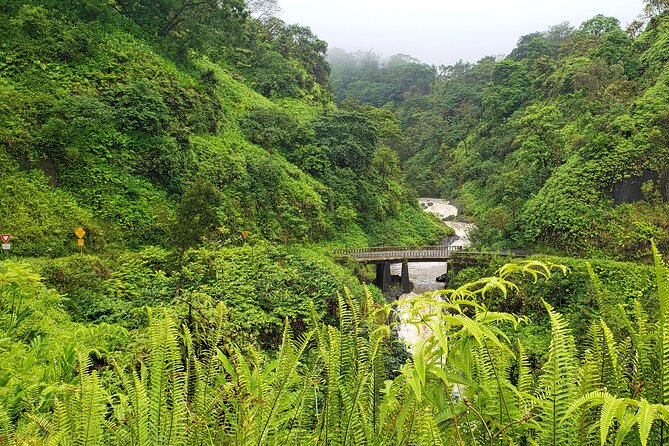 Private Road to Hana or any Maui destination in Luxury Mercedes Sprinter - Who Is This Tour Best For?