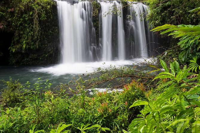 Private Road to Hana Rainforest & Waterfall Experience from Maui - Exploring Maui’s Road to Hana: A Private Rainforest & Waterfall Journey
