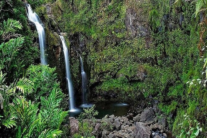 Private Road to Hana Rainforest & Waterfall Experience from Maui - Key Points