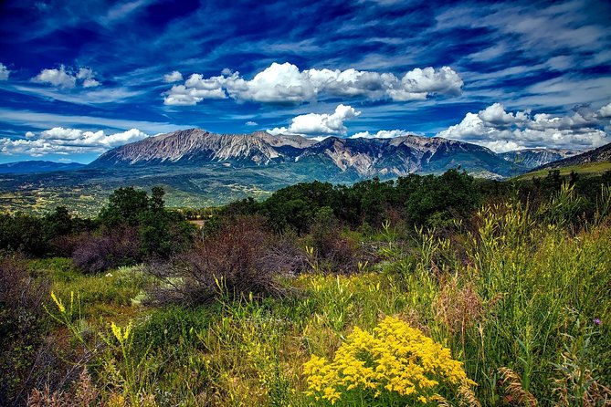 Private Rocky Mountain National Park Tour from Denver - Who is This Tour Best For?