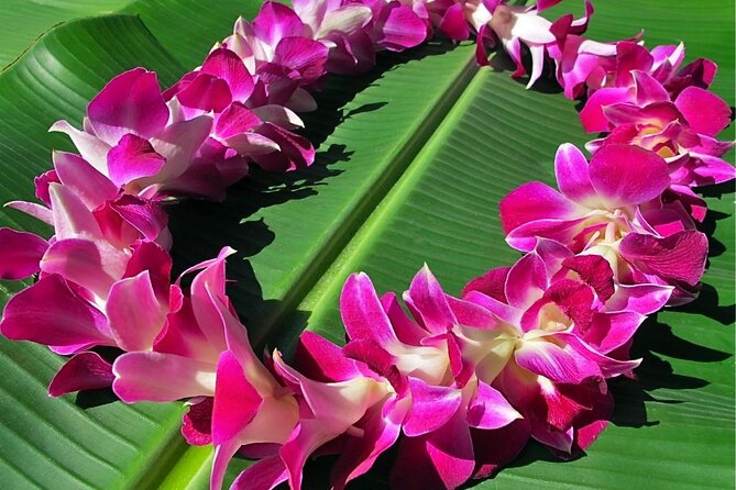 Private Round-Trip Transfer: Maui Kahului Airport to Maui Hotels - Pricing: Is It Worth It?