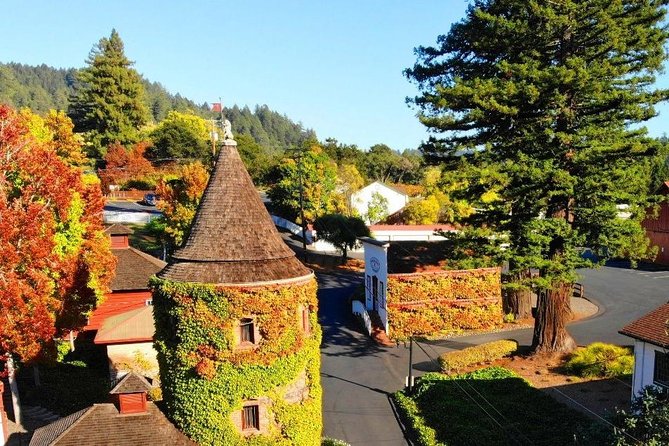 Private Russian River Day Trip from San Francisco: Redwoods and Wine Country - Practical Details and Comfort