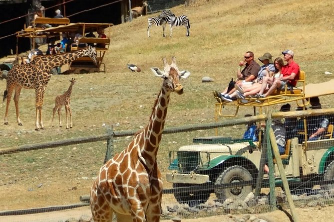 Private Russian River Day Trip from San Francisco: Redwoods and Wine Country - Price and Value