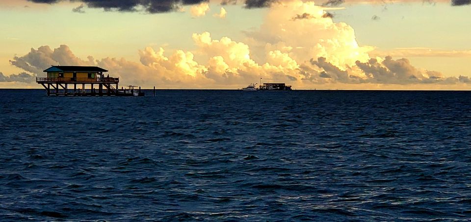 Private Sail Cruise around Miami waterfront - Who Should Book This Tour?