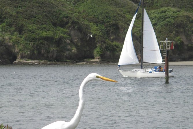 Private Sailing Tour of Bodega Bay - How the Tour is Structured