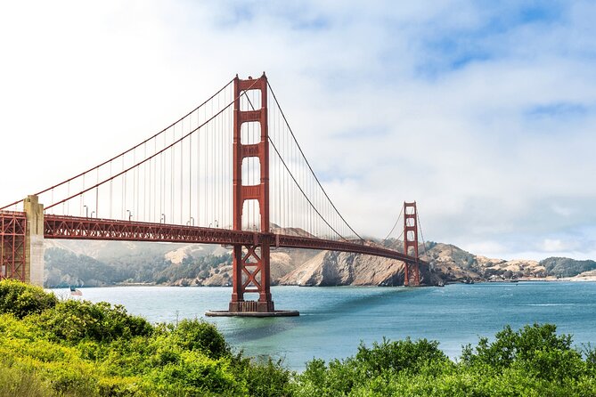 Private San Francisco City Tour and Muir Woods with Sausalito - Transportation and Guided Service