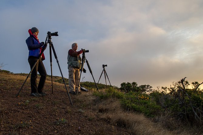 Private San Francisco Sunset Photography Experience - Why Choose the Private Sunset Photography Tour in San Francisco?