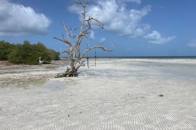 Private Sandbar Adventure in Key West Backcountry - FAQ