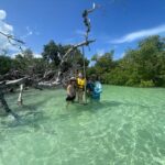Private Sandbar Adventure in the Key West Backcountry - What to Expect on Your Tour