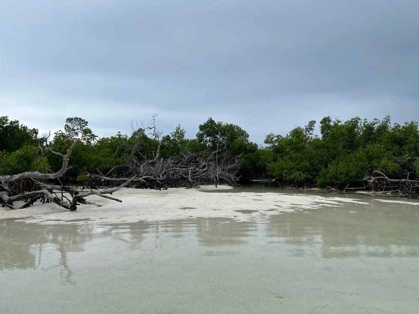 Private Sandbar Adventure in the Key West Backcountry - The Experience from Real Travelers’ Perspectives