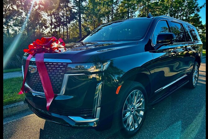 Private Sanford Florida Luxury Car Rides Transportation - Practical Details to Keep in Mind