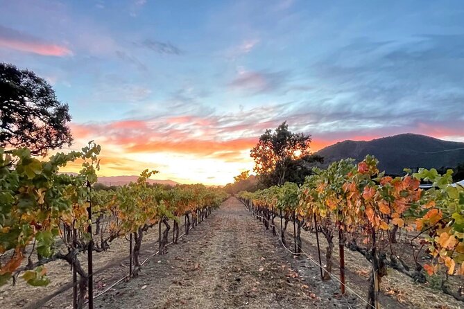 Private Santa Barbara Wine Country Vineyards & Villages Tour - The Total Experience: What Makes It Stand Out