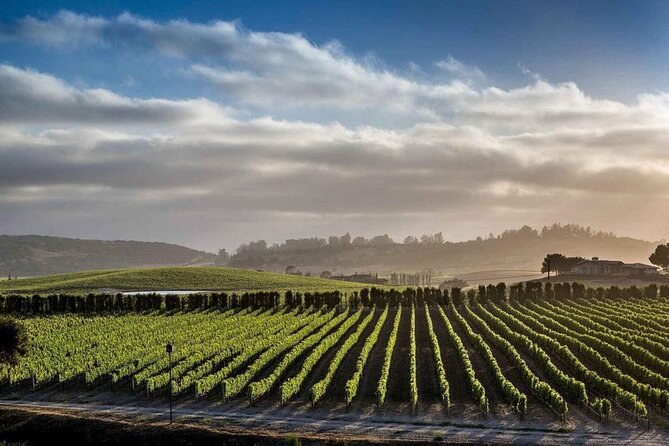 Private Santa Barbara Wine Country Vineyards & Villages Tour - Los Olivos: The Heart of Wine Country