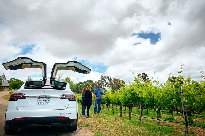 Private Santa Barbara Winery and Estate Tour in Tesla SUV - Pricing and Value