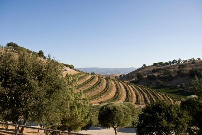 Private Santa Ynez Wine Tour (All-Inclusive) - Key Points