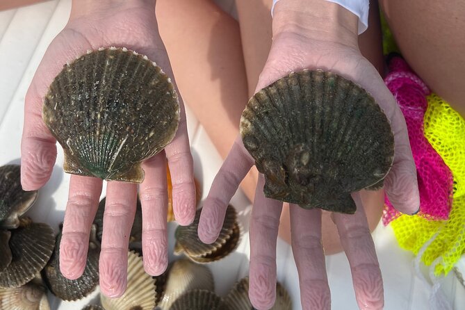 Private Scallop Charter in Crystal River - Key Points