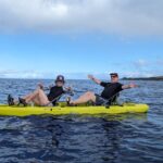 Private Scenic and Reef Snorkeling Kayak Adventure in West Maui - Marine Life Encounters: From Turtles to Whales