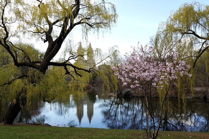 Private Scenic Central Park Walking Tour - Key Points