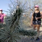 Private Scottsdale Day Hiking Tour - Who Should Book This Tour?