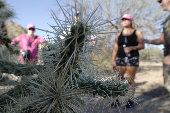 Private Scottsdale Day Hiking Tour - Who Should Book This Tour?