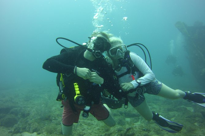 Private SCUBA Dive the reefs of Key Largo for up to 8 certified divers - The Experience: What to Expect During Your Dive Day