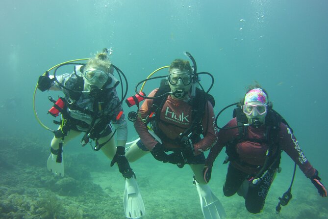 Private SCUBA Dive the reefs of Key Largo for up to 8 certified divers - Final Thoughts