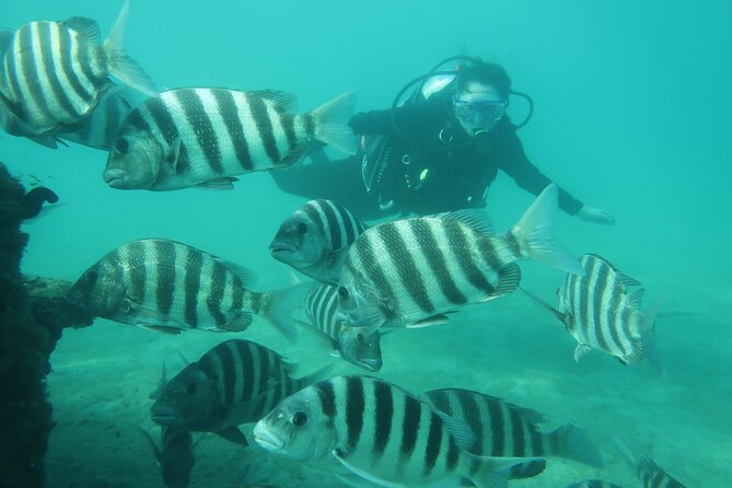 Private Scuba Diving Expert-Led Excursion Training with Tour - The Itinerary: What’s Included and How It Unfolds