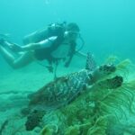 Private Scuba Diving Expert-Led Excursion Training with Tour - What Sets This Experience Apart?