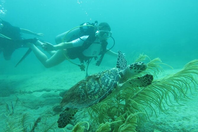 Private Scuba Diving Expert-Led Excursion Training with Tour - What Sets This Experience Apart?