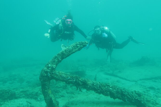 Private Scuba Diving Expert-Led Excursion Training with Tour - Final Thoughts