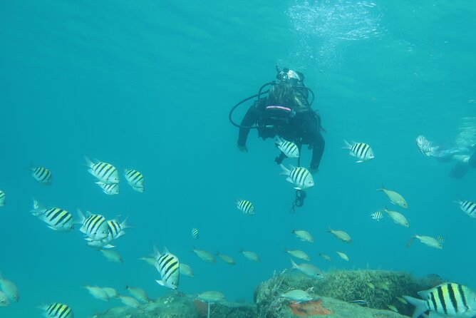 Private Scuba Diving Expert-Led Excursion Training with Tour - FAQ
