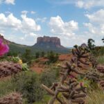 Private Sedona Day Trip from Phoenix or Scottsdale - Who Would Love This Tour?