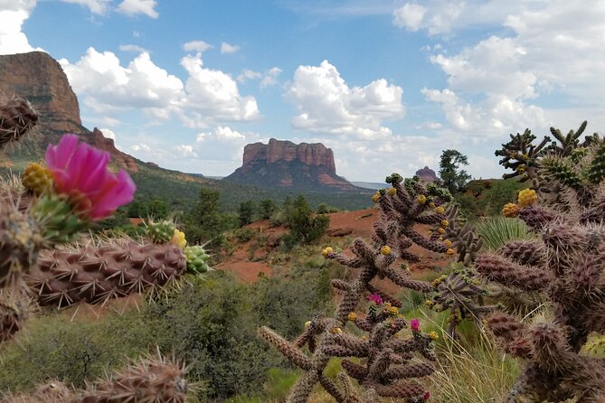 Private Sedona Day Trip from Phoenix or Scottsdale - Who Would Love This Tour?