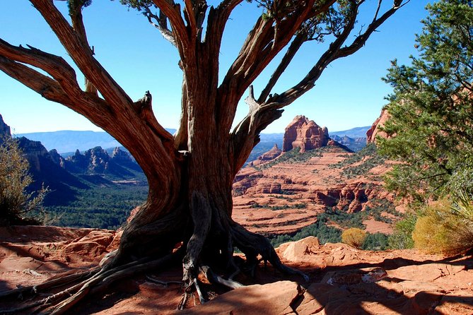 PRIVATE Sedona Jeep Tour 4X4 Climb - Colorado Plateau - The Experience: What to Expect on the Tour
